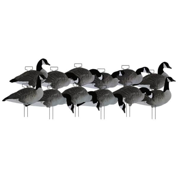 Goose Decoys by Dakota Decoy Company